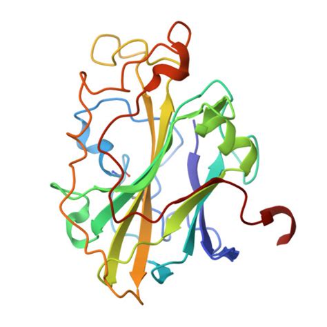 RCSB PDB 7PYO Structure Of An LPMO Expressed In E Coli At 2 31x10 5 Gy