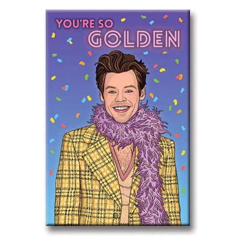 Harry Styles Youre So Golden Magnet The Found Outer Layer