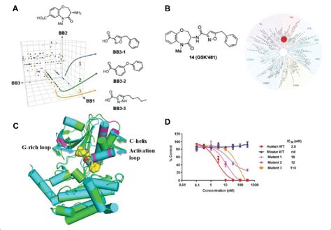 A Primary Hits From DNA Encoded Library Screen Of A Three Cycle
