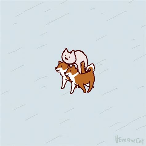 Eveonecat 下雨啦 动图沙雕表情包 0 120 小基gjg 发布到 喵星 动态图库网
