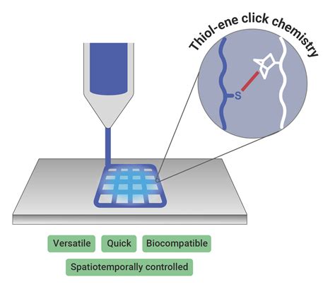 Supralife Supramolecular Multifunctional Biomaterials To Interface With Living Systems