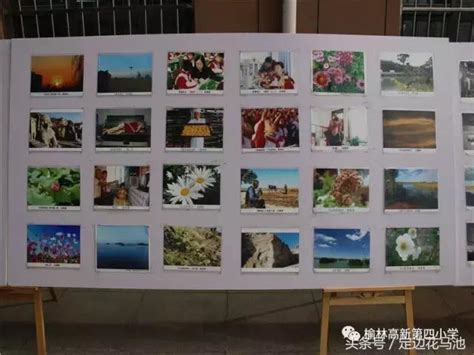 創校園文化，展教師風采——榆林高新第四小學校園文化藝術節書法、攝影展評活動 每日頭條