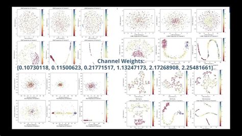 Datathon2024 Youtube