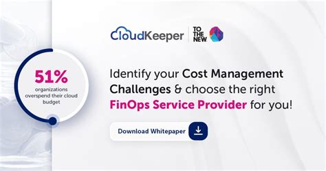 To The New On Linkedin Finops Challenges Remedies And Ecosystem Pdf Download Cloudkeeper