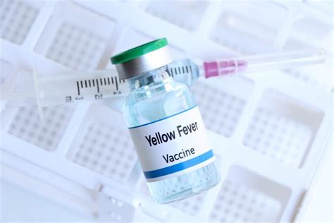 Yellow Fever Vaccine Importance And Recommendations For Summer Travel