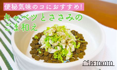 犬の手作りごはんレシピ「キャベツとささみのごま和え」 便秘の愛犬に♪ ペトコト（petokoto）
