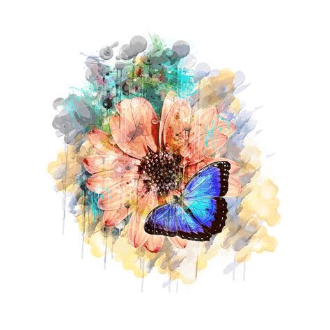 Download Flower Butterfly Insect Royalty Free Stock Illustration