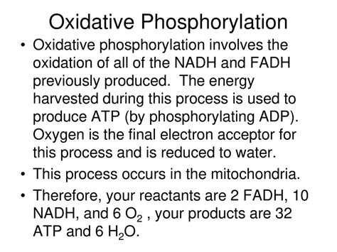 Energy Photosynthesis Cellular Respiration Ppt Download