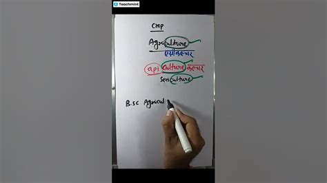 Pat क्या है What Is Pat Full Details Of Pat Career Guidance Mppat 2025 Youtube