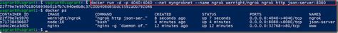 Expose Docker Container Services On The Internet Using The Ngrok Docker Image By Lucas Jellema