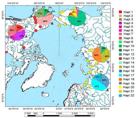 Dna Barcoding Versus Morphological Variability Of Pterostichus Brevicornis Brevicornis Kirby