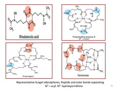Siderophores Ppt