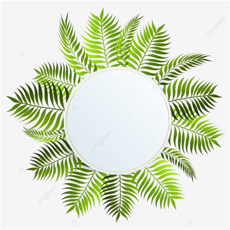 Tropical Plant Leaves Vector Design Images Tropical Leaves