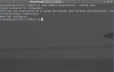 Instalar Java Oracle Jdk 7u51 En Ubuntu 1204121013041310 Y Linux