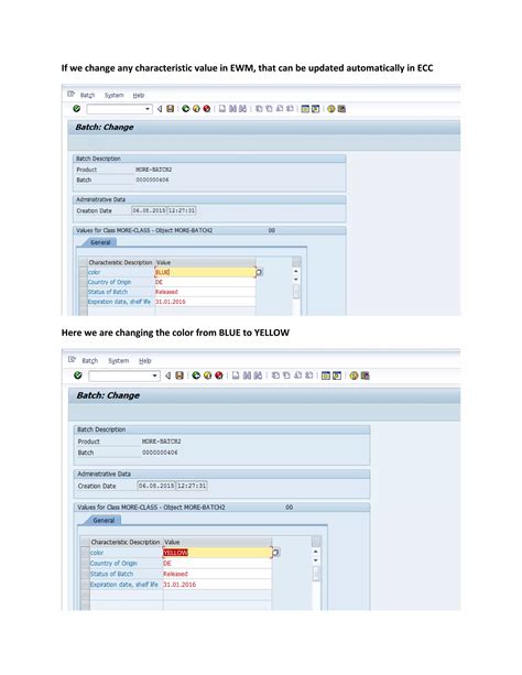 Sap Ewm Batch Management Doc