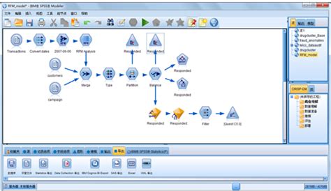 Ibm Spss Icon
