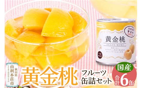 Sanuki フルーツ缶詰 黄金桃 6缶セット 秋田県由利本荘市 セゾンのふるさと納税