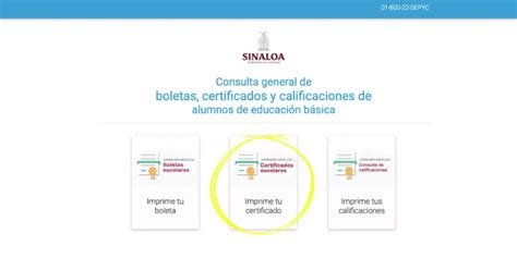 ¿cómo Consultar Certificados En Sinaloa En Internet