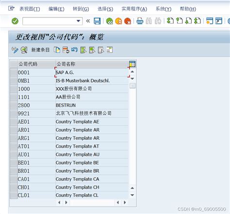 Sap定义公司代码sap 公司代码 Csdn博客