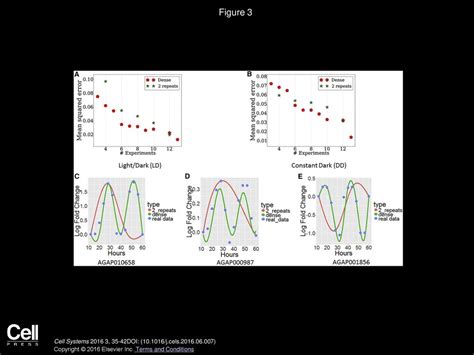Tradeoffs Between Dense And Replicate Sampling Strategies For High Throughput Time Series