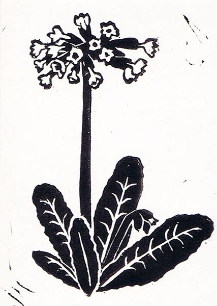 Black And White And Other Random Tidbits