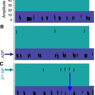 The Presence Of ADP Reflects A Consistent Bursting Behavior A C The Download Scientific