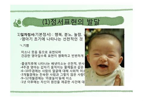 영아기의 사회정서발달 사회과학