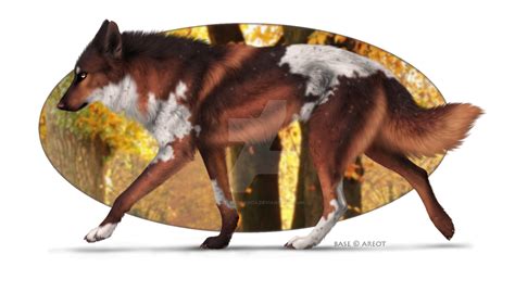 Custom Akando By Glitchedpanda On Deviantart