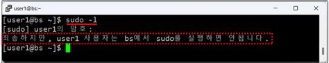 리눅스 sudo 명령어 관리자 권한으로 명령 실행하기