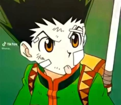 Hunter X Hunter Edit Tik Tok Gon Killua Kurapika Leorio Artofit