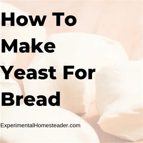 How To Make Yeast For Bread Experimental Homesteader
