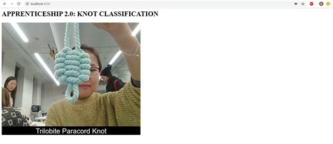 Knot Classification