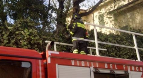 Decine Di Interventi Dei Vigili Del Fuoco Per Il Maltempo Alghero Eco