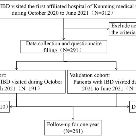 Flowchart Summarizing The Patients Selection Process Download