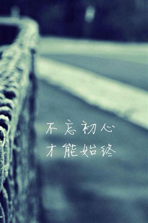 迷途的羔羊 知乎
