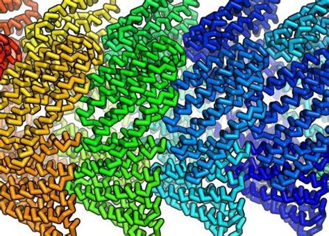 Self Assembling Protein Filaments Designed And Built From Scratch