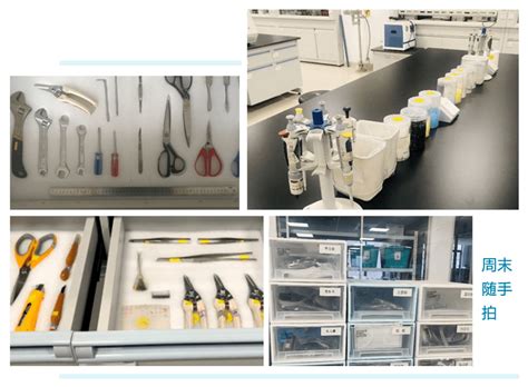 理论内容千篇一律，5s的实操万里挑一！ 搜狐大视野 搜狐新闻