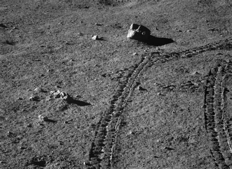 「玉兔二號」傳回最新一批月球地形地貌相片 中國即時 中國 世界新聞網