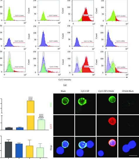 Detection Of Nanocomposites Binding Specificity In Cd4 T Cell