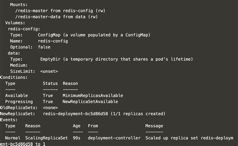 Kubernetes Redis Deployment Failed Kodekloud Devops Learning Community