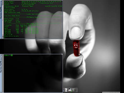 群辉系统ds918 Dsm 711系统安装升级tinycore Redpill Csdn博客