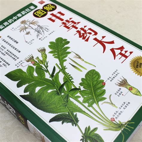 正版包邮 图解中草药大彩图版 中药大典 中药材识别图鉴书籍 中草药辨别图谱新手入门 中医辨识中草药中医医学书籍 家药典中药BT 小编推荐