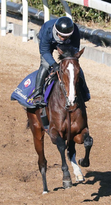 【有馬記念】坂路で調整のローシャムパークには課題と手応え 田中博調教師「体の左右差が」 Umatoku 馬トク