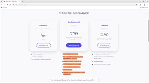 Radzen Blazor Studio Porfessional Support Radzen Blazor Studio Radzen