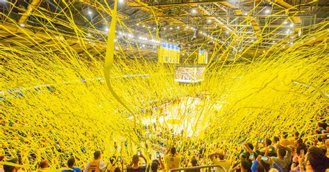 אניה גלרון המעיין קליניקת פעימות רפואה סינית ורפואת תדרים שבוע של שיעול תקף אותנו בבית וגם