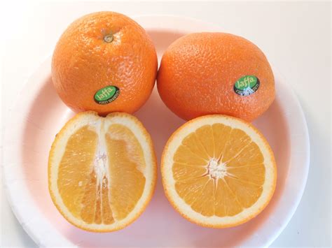 Citrus Pages Sweet Oranges
