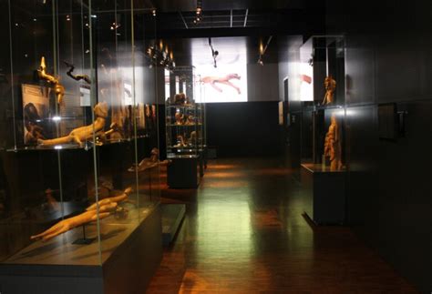 Christie Supports Museum Digital Transformation Blooloop