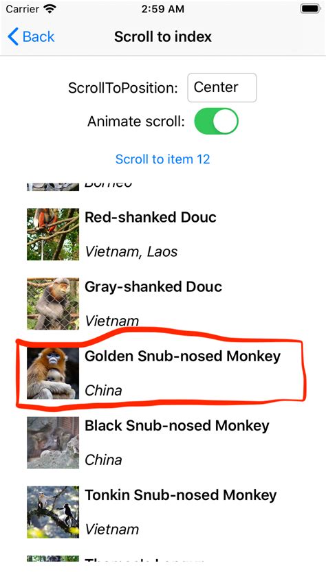 [bug] collectionview scrollto position is off when collectionview has a header · issue 11142