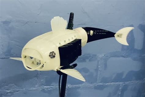 Student Wins Contest With Microplastic Filtering Fish Robot