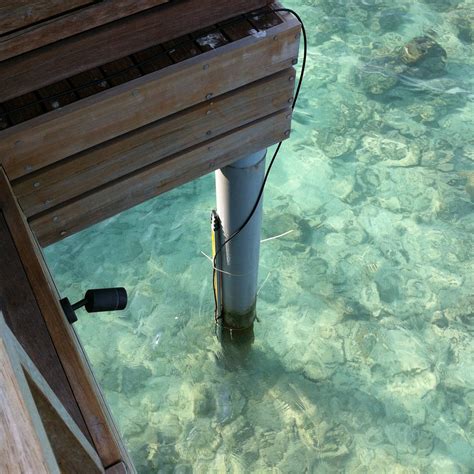 Tide Observations — Water Solutions